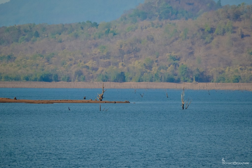 Exploring Lost Village of Curdi in Sanguem, Goa – NOMADOGRAPHER